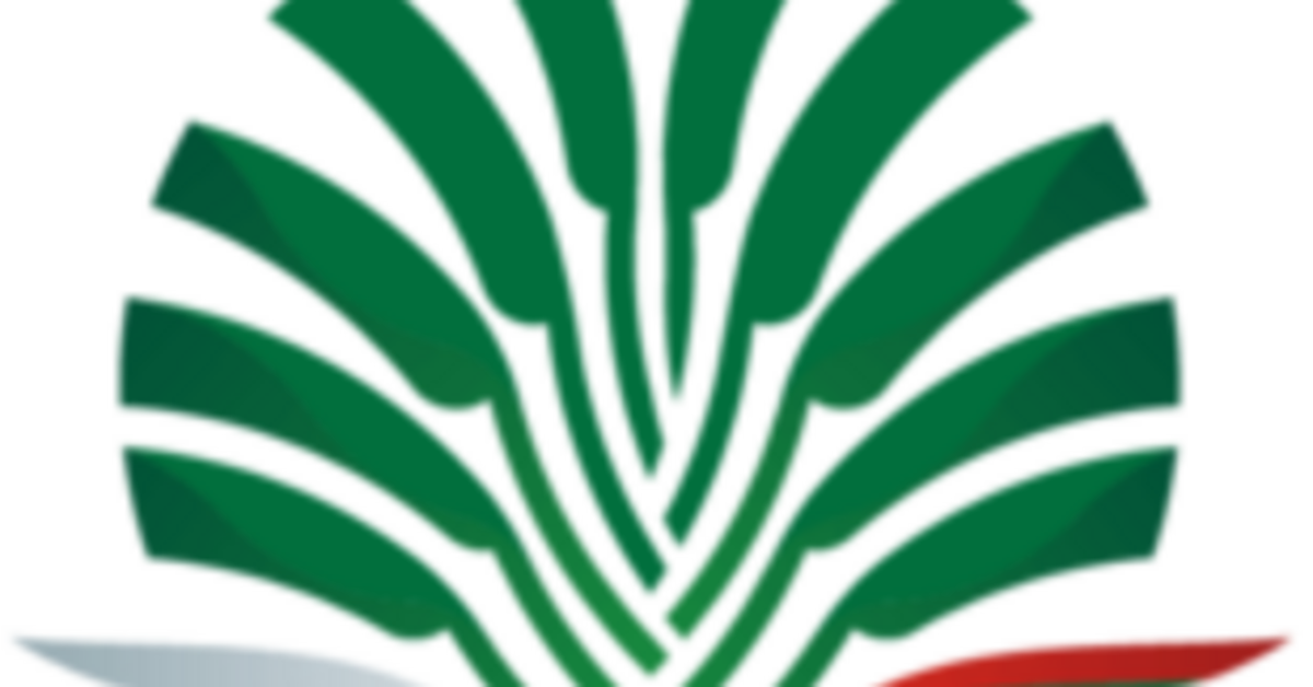 EARLY BIRD - Madagascar Airlines | Cheap Flights to the Best ...